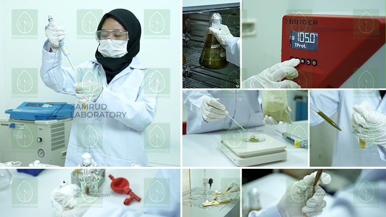 Your Kratom Straight From The Source