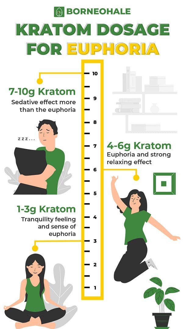 The Best Kratom Strains for Euphoria – Borneohale